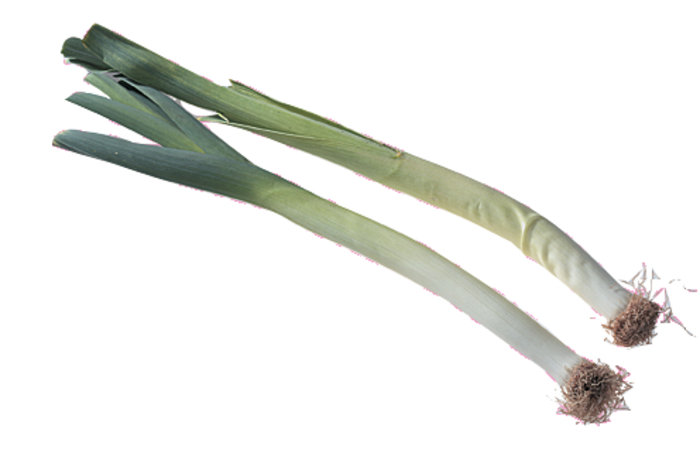 Duden | Lauch | Rechtschreibung, Bedeutung, Definition, Herkunft