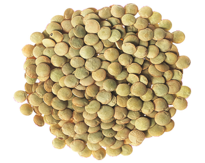 Duden | Linse | Rechtschreibung, Bedeutung, Definition, Herkunft