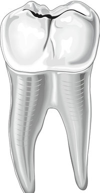 Duden | Backenzahn | Rechtschreibung, Bedeutung, Definition, Herkunft