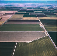 Duden | Feld | Rechtschreibung, Bedeutung, Definition, Herkunft