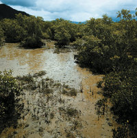 Duden | Grund | Rechtschreibung, Bedeutung, Definition, Herkunft